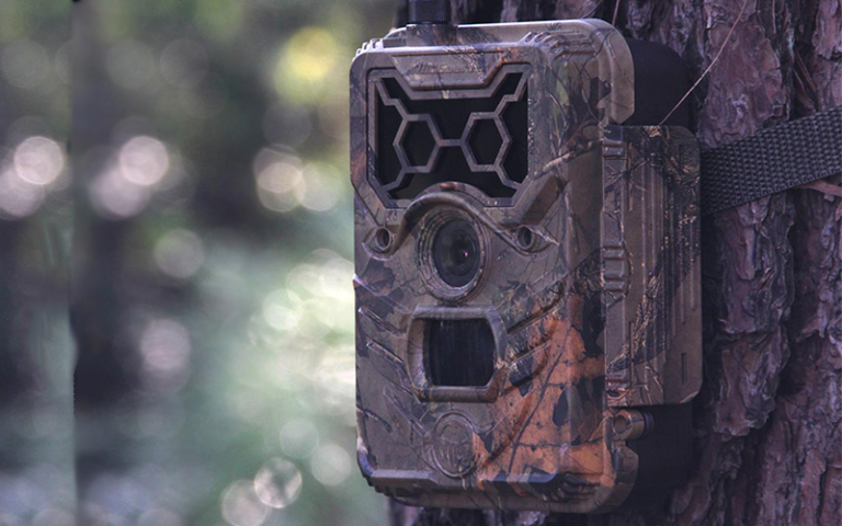 Fototrappole: le caratteristiche di un sistema professionale • Ziboni Technology